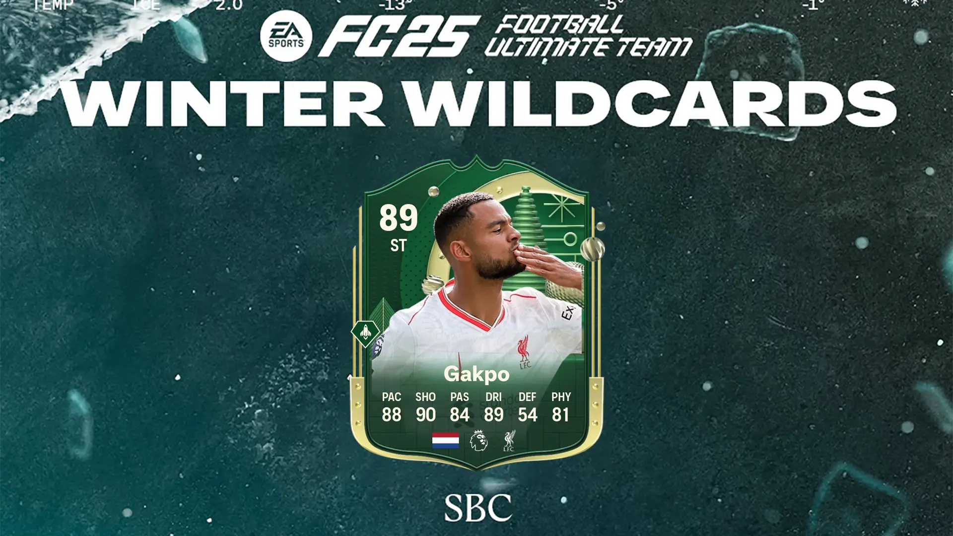 EA FC 25 Gakpo Winter Wildcards SBC Review And Solutions - FifaUltimateTeam.it - UK